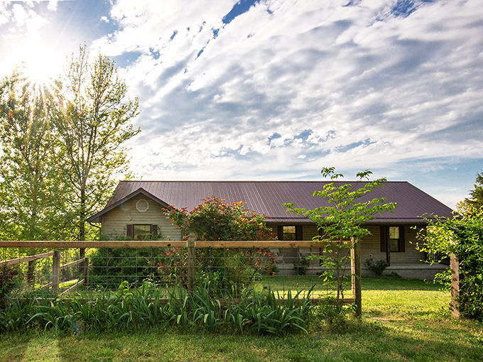 Morning sunlight kisses the farmhouse's metal roof as if Mother Nature herself is saying "Welcome home!" The perfect Ozark Mountain backdrop for your rural escape.
