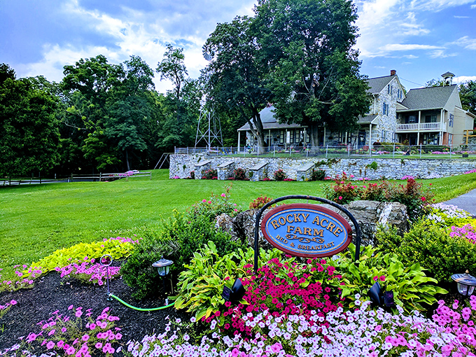 The stone farmhouse at Rocky Acre Farm stands like a time capsule against the Pennsylvania sky, where modern stress dissolves into country charm. 