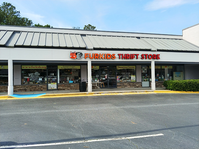 The unassuming storefront hides a wonderland of treasures inside. Like finding a five-star restaurant in a strip mall, prepare to be delightfully surprised.