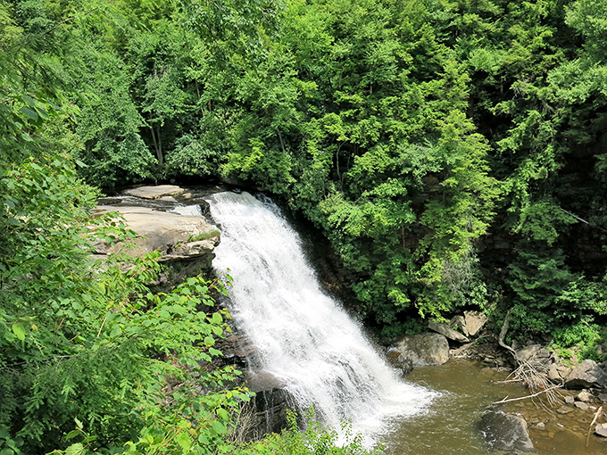 Nature's perfect cascade moment – Muddy Creek Falls delivers a 53-foot spectacle that makes you wonder why anyone bothers with screensavers anymore.