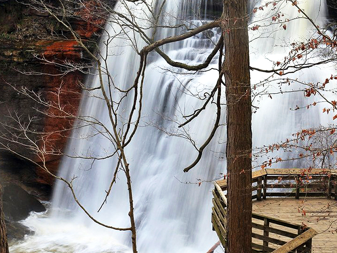 The boardwalk beckons through towering trees, promising the waterfall reveal that makes even seasoned travelers gasp. Nature's red carpet treatment, Ohio-style. 