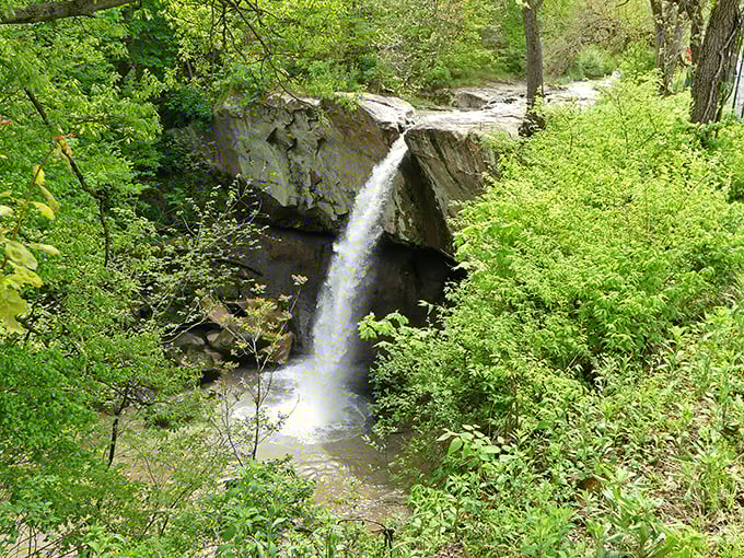 Nature's masterpiece in full display. The 84-foot cascade of Williamsport Falls plunges dramatically between limestone cliffs, creating Indiana's tallest free-falling waterfall spectacle.