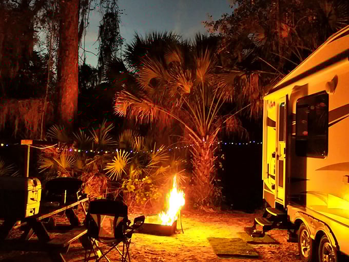 Evening magic unfolds as string lights twinkle above a crackling campfire, with palm fronds creating nature's perfect backdrop for fireside stories.