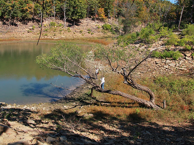 Where rugged shorelines meet autumn-painted hills. Toronto Reservoir's rocky edges create the perfect backdrop for contemplative morning walks or afternoon fishing expeditions.