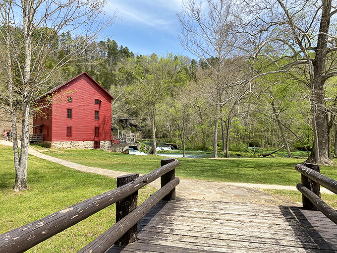 Spacious campsites nestled among graceful trees &ndash; nature's version of five-star accommodations without the mint on your pillow or the bill.