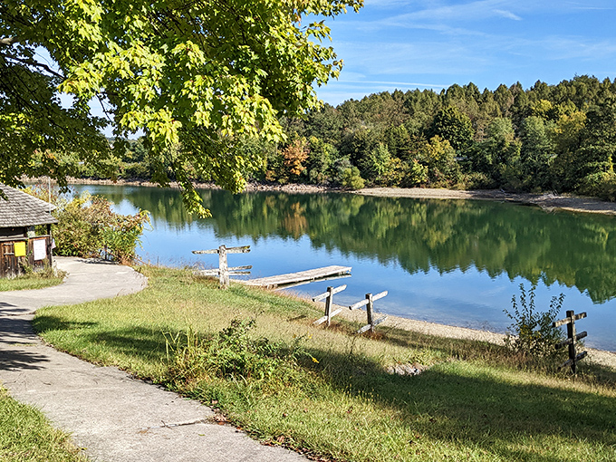 Nature's perfect gathering spot: a flock of geese enjoying Lake Marburg's pristine waters while farmland rolls gently in the background. 