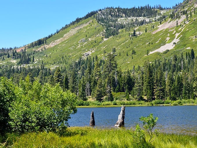 Mother Nature showing off again! Crystal blue waters mirror the majestic Sierra peaks, creating a postcard moment that no filter could improve.