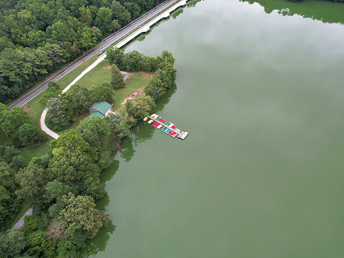 An aerial paradise that proves Delaware hides its best secrets in plain sight. The colorful boat dock beckons water lovers to dive into adventure.
