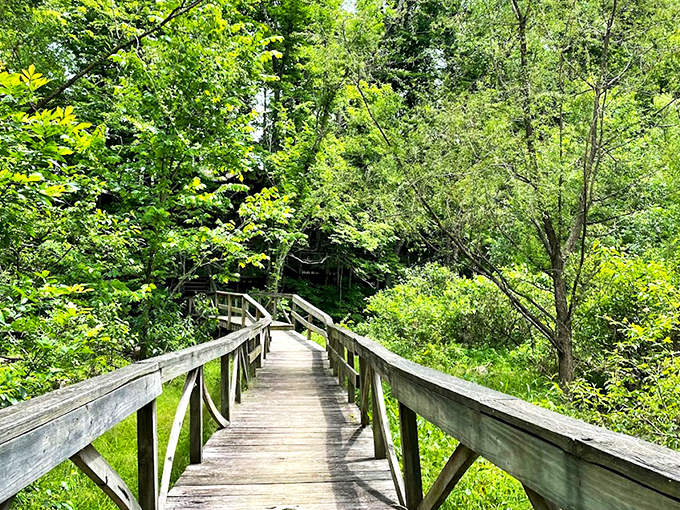 Nature's red carpet treatment! This wooden walkway invites you into Shakamak's emerald embrace like a VIP entrance to Mother Nature's finest establishment.
