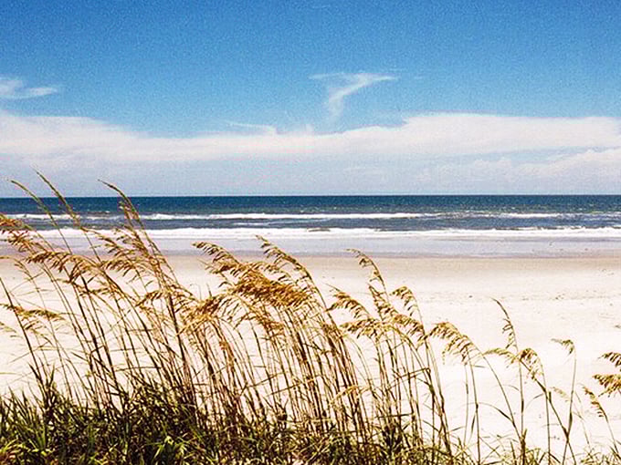 Sea oats dance in the coastal breeze while pristine white sands stretch toward the horizon. Nature's minimalist masterpiece at its finest.