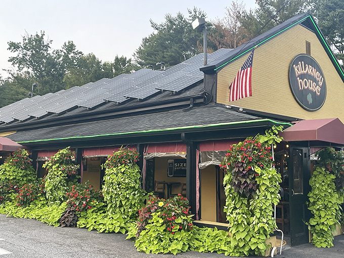 The emerald jewel of Davidsonville beckons with lush hanging plants and a cheerful yellow facade that practically shouts "céad míle fáilte" (a hundred thousand welcomes).
