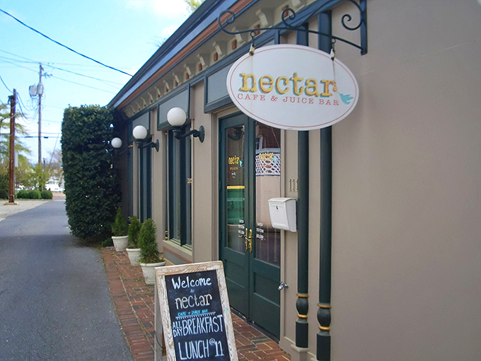 The unassuming storefront of Nectar Cafe & Juice Bar beckons like a culinary lighthouse on Lewes' shore, promising delicious refuge from ordinary dining experiences.
