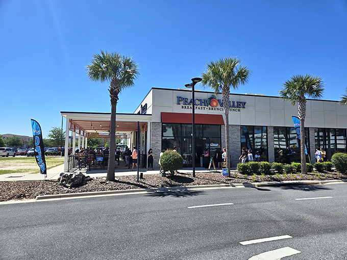 Sunshine, palm trees, and the promise of breakfast paradise &ndash; Peach Valley Cafe's exterior invites you in like a warm Florida morning.