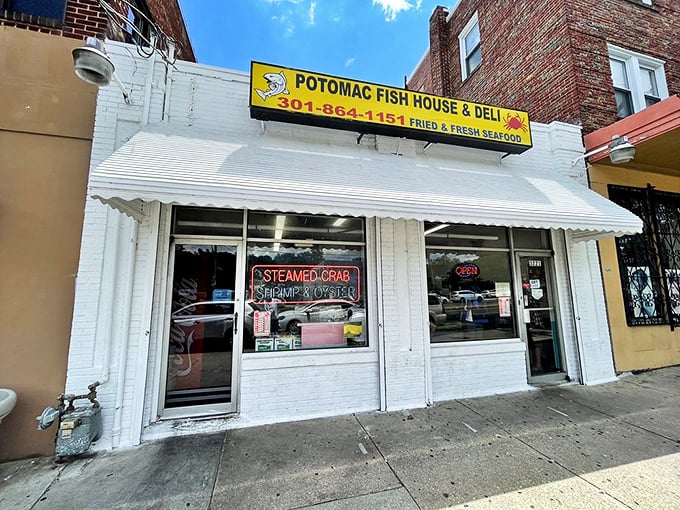 The bright yellow sign beckons seafood lovers like a lighthouse guiding hungry sailors to shore. No fancy frills, just the promise of fried perfection.