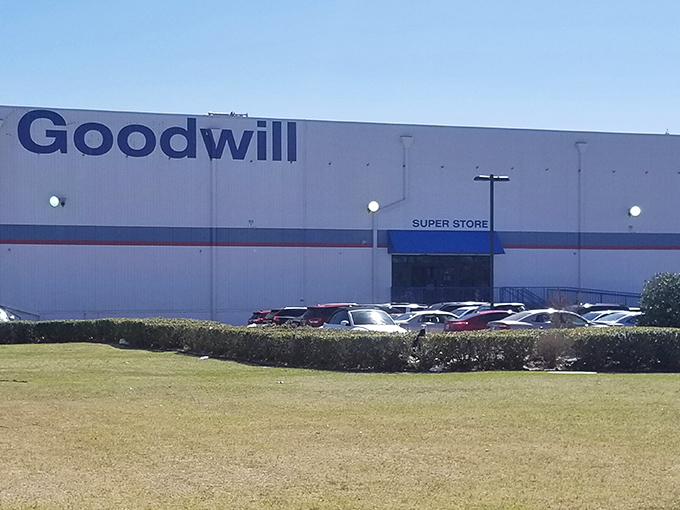 The unassuming exterior hides a treasure hunter's paradise within. Like finding a secret speakeasy, but instead of cocktails, you'll discover vintage cardigans and forgotten vinyl.