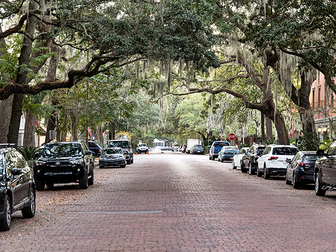 Savannah's historic district, where cobblestone streets and trolley tracks remind you that some places refuse to surrender their charm to modern inconveniences.