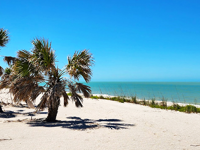 Miles of pristine shoreline stretch before you, with just one solitary beachcomber in the distance. Social distancing before it was mandatory!