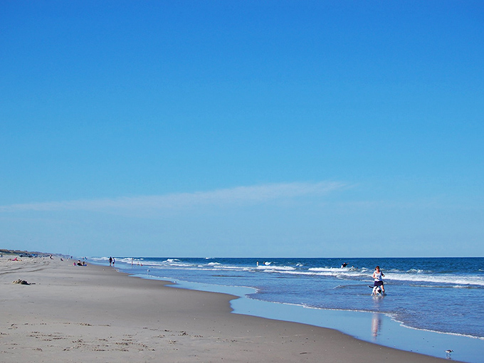 Miles of pristine shoreline stretch before you, untouched by development—nature's version of social distancing before it was fashionable.