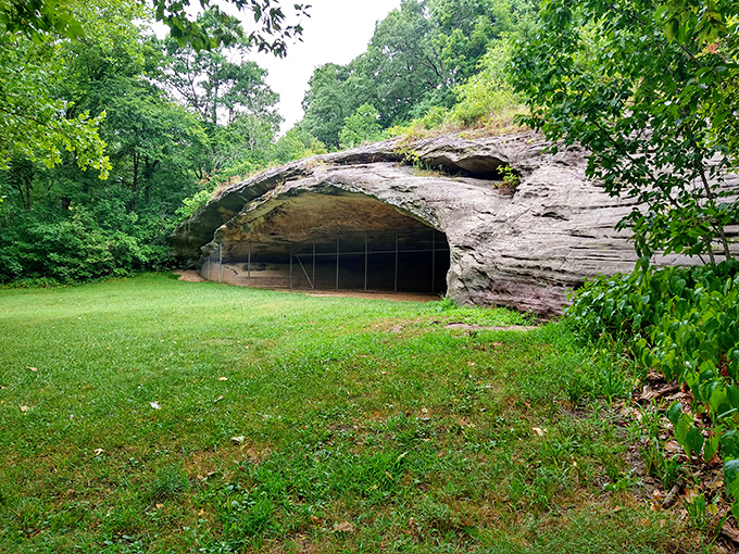 A mysterious cave beckons, promising adventure and prehistoric secrets. Indiana Jones, eat your heart out!