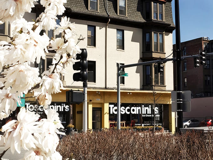 Like finding a treasure at the end of a bike-filled rainbow, Toscanini's yellow storefront beckons Cambridge dessert pilgrims to First Street's sweetest destination.