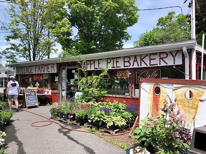 The red exterior of Village Farmer and Bakery stands like a beacon of comfort food hope along the scenic Delaware Water Gap roadside. 