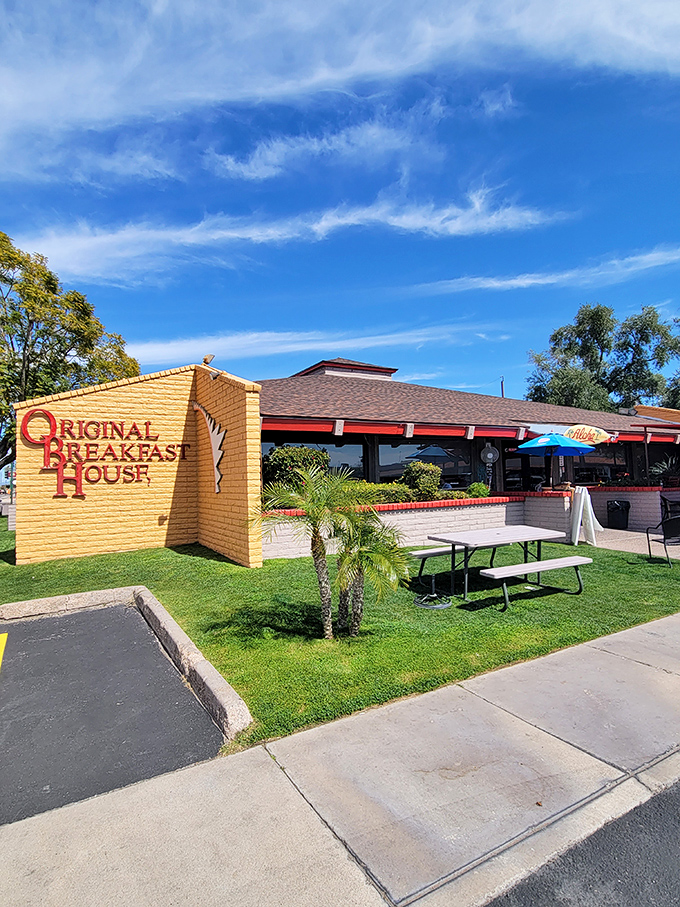 Aloha, Arizona! This little slice of paradise in Phoenix proves you don't need an ocean to catch a wave of deliciousness.