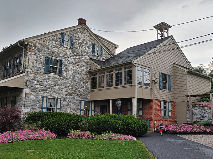 The stone farmhouse at Rocky Acre Farm stands like a time capsule against the Pennsylvania sky, where modern stress dissolves into country charm. 