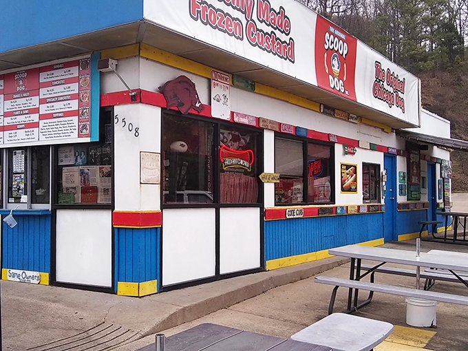 The blue and white facade of ScoopDog stands like a colorful time capsule, promising nostalgic flavors that transport you back to simpler times.