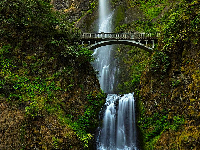 The classic view of Multnomah Falls that makes you wonder if Mother Nature took a landscape architecture class. Pure Pacific Northwest magic.