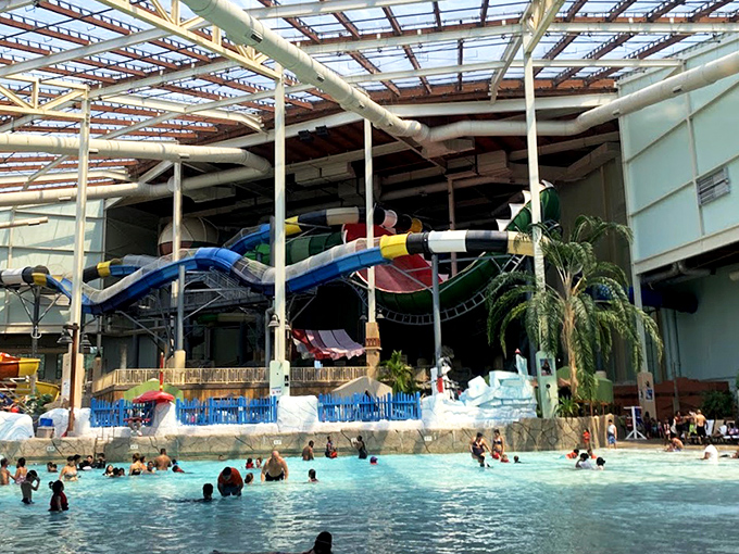 The architectural marvel that is Aquatopia's glass ceiling lets sunshine pour in while Pennsylvania snow stays where it belongs—outside.