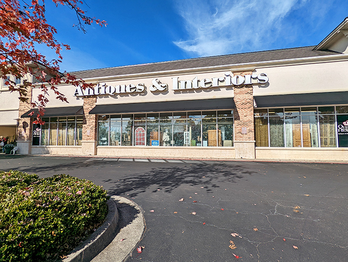 The unassuming storefront hides a universe of treasures within. Like finding a secret wardrobe to Narnia, but instead of a lion, you'll meet vintage teacups and retro lamps.