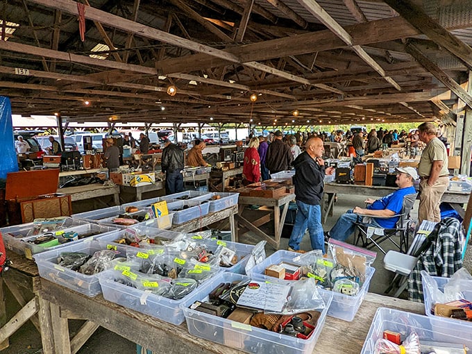 Vintage tin toys and miniature amusement rides that transport you back to childhood faster than a DeLorean with a flux capacitor