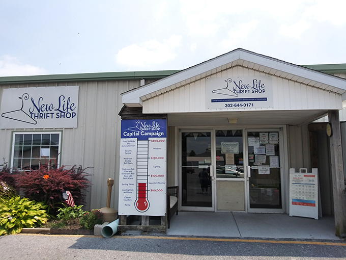 The unassuming exterior of New Life Thrift Shop belies the treasure-hunting paradise within. Like finding a portal to bargain wonderland hiding in plain sight.