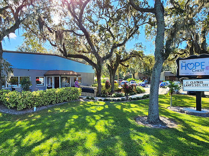 The HOPE Chest welcomes bargain hunters under Florida's majestic oak trees, where the blue building promises treasures within like a retail oasis.