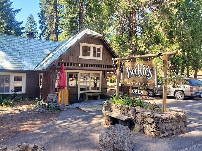 Nestled among towering pines, Beckie's rustic cabin exterior promises woodland charm and homestyle comfort before you even step inside. 