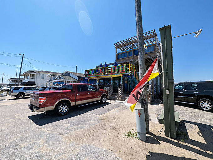 Welcome to Art's Place, where the exterior is as colorful as the characters inside. This beachside shack screams "fun" louder than a seagull eyeing your fries.