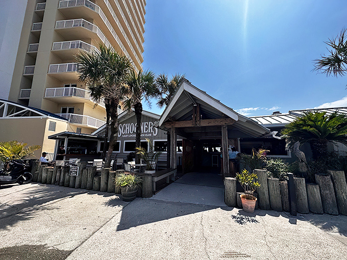 Schooners proudly declares itself "The Last Local Beach Club," where motorcycles park out front like loyal patrons waiting for their seafood fix.