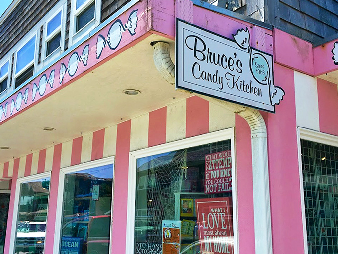 The pink and white striped fa&ccedil;ade of Bruce's Candy Kitchen stands out like a Wes Anderson film set come to life in Cannon Beach's coastal landscape.