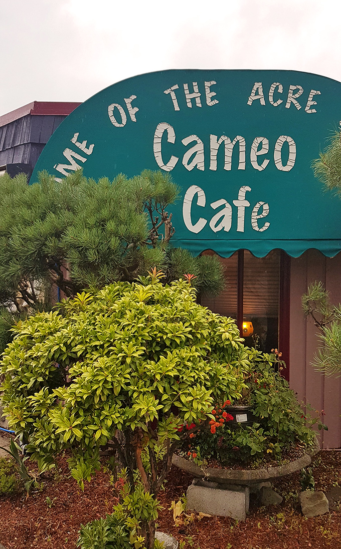 The welcoming teal awning and pink exterior of Cameo Cafe East beckons like a colorful promise of breakfast bliss in Portland's morning landscape. 