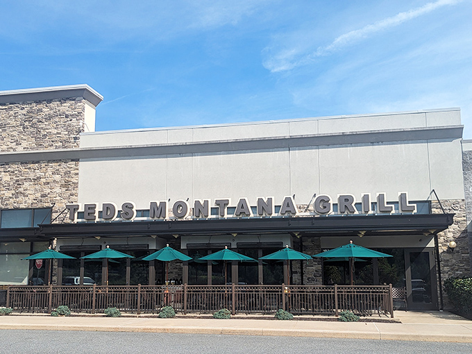 Ted's Montana Grill stands like a Western outpost in Newark, its stone facade and warm glow promising carnivorous delights within. The bison logo isn't just decoration—it's a promise.