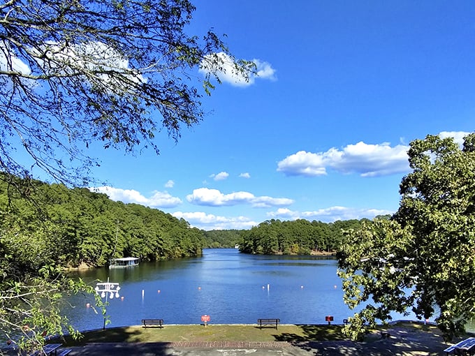 A wooden dock stretches toward infinity, inviting you to walk straight into a postcard. Mother Nature showing off again.
