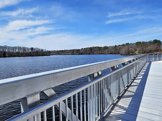 An aerial paradise that proves Delaware hides its best secrets in plain sight. The colorful boat dock beckons water lovers to dive into adventure.