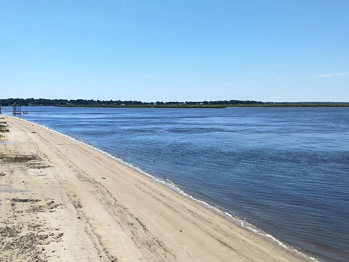 The shores of Fort McAllister State Historic Park, where Civil War history and coastal Georgia's natural splendor create an unexpectedly perfect marriage.