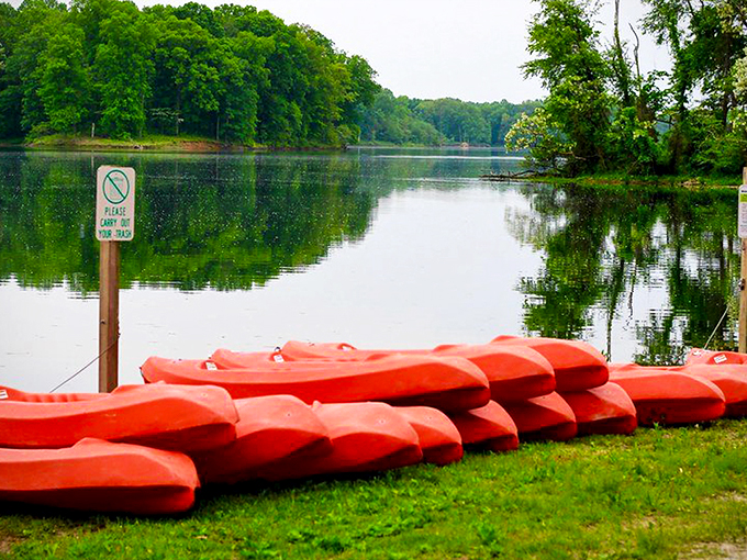 Nature's red carpet treatment! This wooden walkway invites you into Shakamak's emerald embrace like a VIP entrance to Mother Nature's finest establishment.
