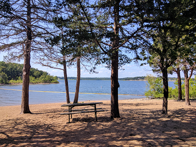 Crystal-clear waters meet endless blue skies at Pomme de Terre's pristine beach area, where Missouri proves it doesn't need an ocean to create paradise.