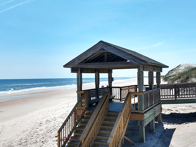 Sea oats dance in the coastal breeze while pristine white sands stretch toward the horizon. Nature's minimalist masterpiece at its finest. 