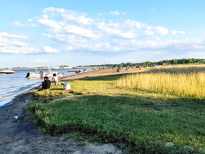 Autumn's paintbrush transforms Alum Creek into a masterpiece of gold and amber, reflecting in waters so clear you'd swear Mother Nature was showing off.