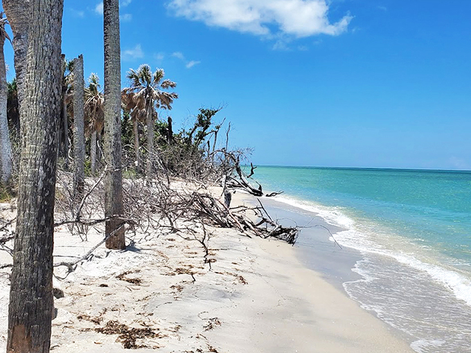 Miles of pristine shoreline stretch before you, with just one solitary beachcomber in the distance. Social distancing before it was mandatory!