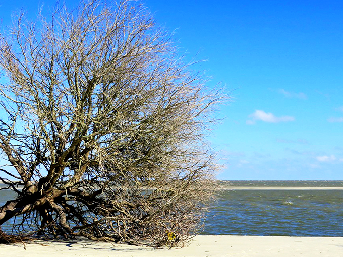 Endless horizon meets powdery white sand at Cabretta Beach, where your footprints might be the only ones for miles.