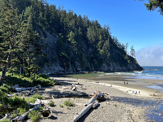Nature's perfect amphitheater awaits at Short Sand Beach, where golden sand meets dramatic headlands in a secluded coastal embrace.